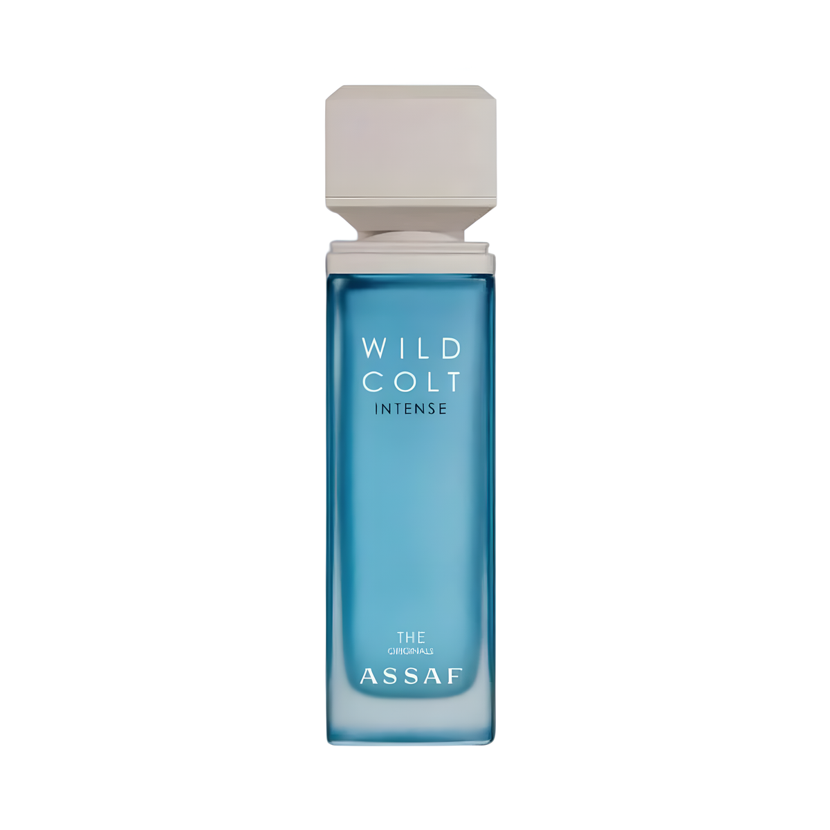 ASSAF WILD COLT INTENSE 100 ML – Souq Scent